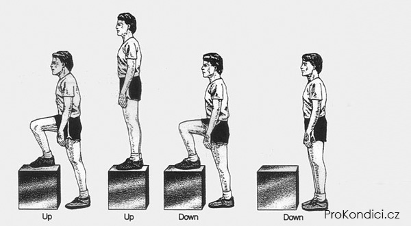 Harvardský step-test. Zjistěte svoji kardiorespirační zdatnost ...